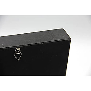 Real Giant Bird Eating Tarantula EURYPEIMA SPINCRUS Spider Taxidermy Transparent Boxed Display (Black Wooden Box)