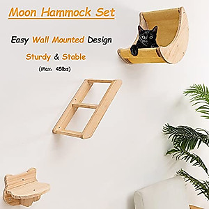 Cat Shelf for Wall Hammock Climbing Shelves and Perches Solid Wood Cat Steps for Activity Indoor Cats Wall Furniture 3pcs/Set