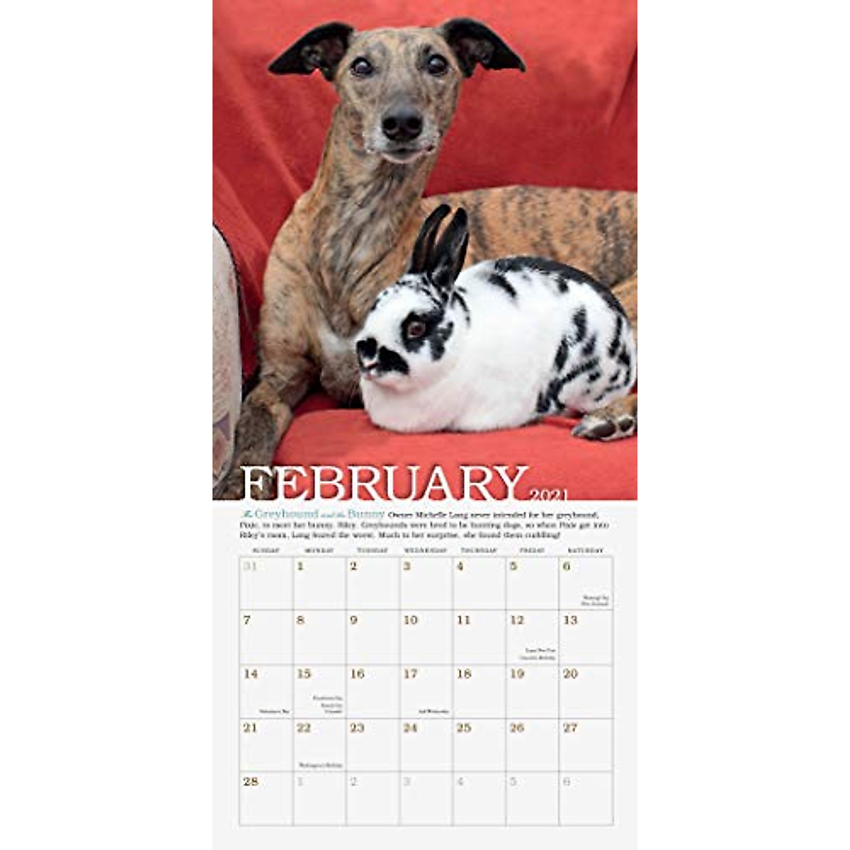 Unlikely Friendships Mini Wall Calendar 2021