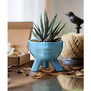 GeLive Ceramic Face Planter Head Plant Pot Modern Statue Artistic Flower Vase Succulent Bonsai Windowsill Box Urn for Home Decoration Indoor Outdoor (Large, Blue)