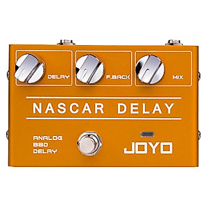 JOYO R-10 Analog Delay Effect Pedal Bundle with DC 9V Pedal Power Supply (800mA -1A) AC Adapter