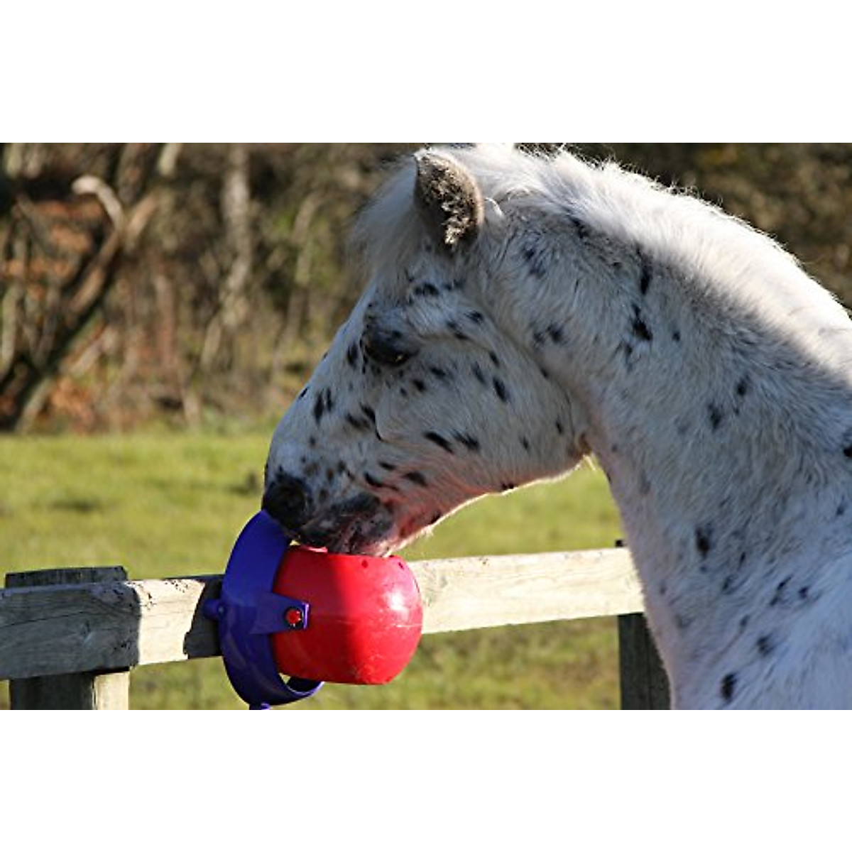 Manna Pro 1000043 081765 Likit Tongue Twister, Red, Large (Pack of 1)