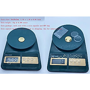 2022 Joe Biden Zero Cents Novelty Penny Coin - Let's GO Brandon FJB Coin