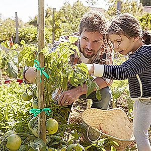 Unves 2 Pack Garden Tape Roll, 150 Ft Thick Reusable Green Plant Nursery Tape - 1/2" Wide Stretch Tie Tape Support for Indoor Outdoor Patio Plant, Tree, Branches, Climbing Flowers, Vegetables