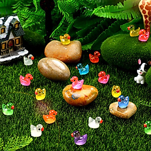 Queekay 50 Pcs Mini Resin Ducks Luminous Tiny Ducks Miniature Duck Glow in The Dark Ornament for Dollhouse Garden Decoration DIY Craft Micro Landscape Aquarium Party Decor