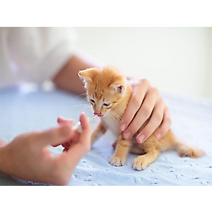 Blue 50 Pcs 1ml 1cc Plastic Syringe No Needle Syringe for Pets Oral, Refilling, Oil or Glue Applicator, Measuring or Transfering Tiny Amount of Liquids, Without Cap