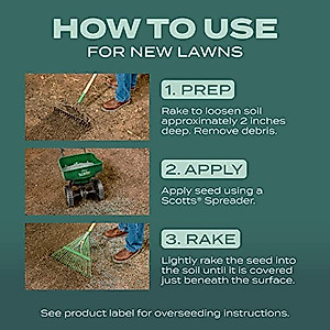 Scotts Turf Builder Grass Seed Dense Shade Mix with Fertilizer and Soil Improver, Grows With Little Sunlight, 2.4 lbs.
