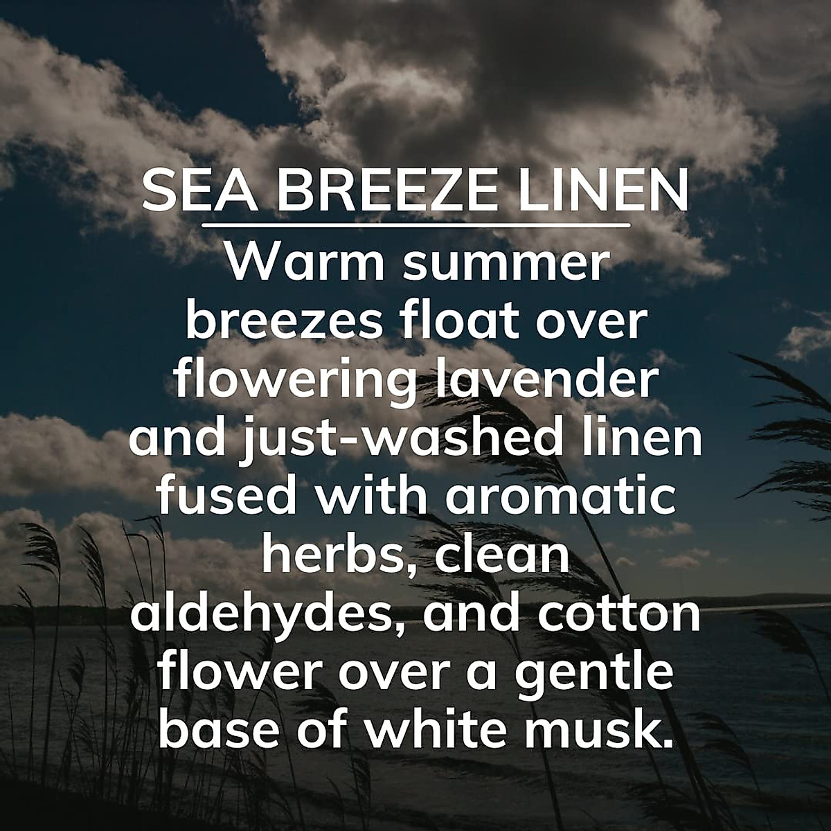 Citrus Magic On The Go Odor Absorbing Solid Air Freshener, Sea Breeze Linen, 8-Ounce, Pack of 1