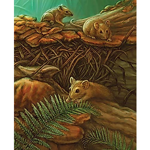 Tall Tall Tree: A Nature Book for Kids About Forest Habitats (A Rhyming Counting Book with STEAM Activities)