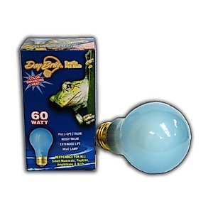 PQL DAY-BRITE 60 WATT