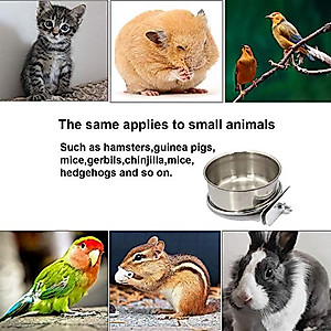 ymmsuuie 2 Pack Bird Food Bowl with 1 Fruit Skewer Holder, Stainless Steel Parrot Feeder with Clamp for cage,Stainless Steel Bowls for Cats and Dog, Bird Cage Food Water Bowls