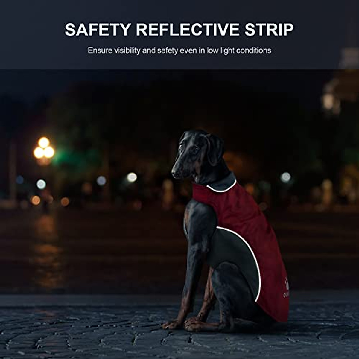 IREENUO Dog Raincoat, 100% Waterproof Dog Warm Jacket for Fall Winter, Rainproof Coat with Adjustable Velcro & Reflective Stripes for Medium Large Dogs