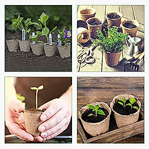 GROWNEER 60 Packs 2.4 Inch Peat Pots Plant Starters for Seedling with 25 Pcs Plant Labels, Biodegradable Herb Seed Starter Pots Kits, Garden Germination Nursery Pot
