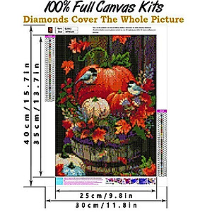 JLHATLSQ DIY Diamond Painting Kits, 5D Diamond Painting Full Drill Round Cross Stitch Embroidery Painting,Diamond Art Perfect for Relaxation and Home Wall Decor (12x16inch)