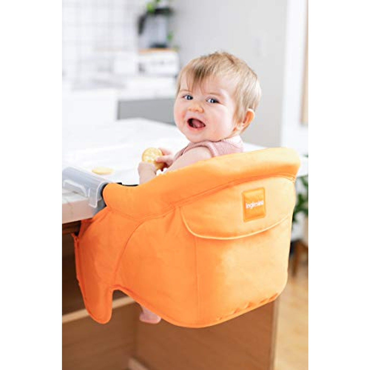 Inglesina Fast Table Chair - Award-Winning Baby High Chair for Eating & Dining - Compact, Portable & Foldable - Leaves No Scratches - for Babies 6-36 Months & 1-3 Year Old Toddler - Fuchsia Pink