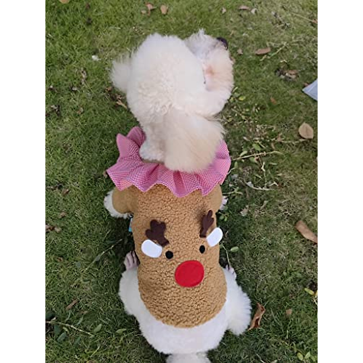 YiQ RiC Christmas Dog Clothes Dog Christmas Jacket Dog Cold Weather Coats New Year Clothes for Dog Pet Shirt Cat Shirt Breathable Puppy Vest Printed Snowman Reindeer Santa Claus Soft Outfit