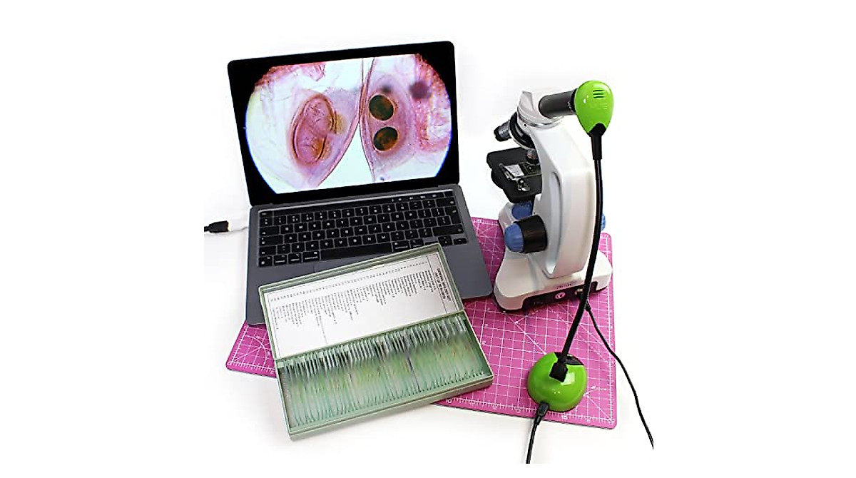 HUE HD Portable USB Camera for Versatile Use