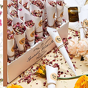 30 Pcs Party Confetti Cone Holder Box Set Stand Tray Box Petals Bouquet Candy Wedding Confetti Cones Confetti Cone Holder Favor Include Ropes, Adhesive Stickers Box and Tray