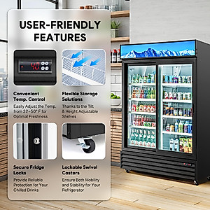 Wilprep Commercial Display Refrigerator, 35.1 cu ft 2 Sliding Door Merchandiser Refrigerator with LED Lights, 52.4 in Upright Beverage Cooler for Restaurant Retail Stores, ETL & ETL Sanitation Listed