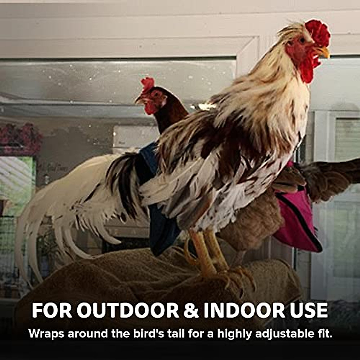 Bird Diaper, Wrap Around - for Hens, Roosters, Ducks, Leak-Proof Design, Comfortable Bird Harness with Sewn-in Liner, Secure Hook & Loop Closure - Large, Red Bandana