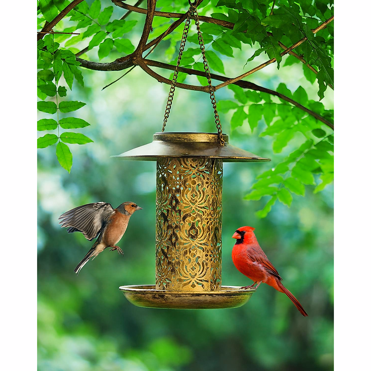 SWEETFULL Solar Bird Feeder for Outdoors Hanging, Metal Wild Bird Feeder for Cardinals Solar Garden Lantern with S Hook as Gift Ideas for Bird Lovers (2LBs Heavy Duty Weather Resistance birdfeeders)