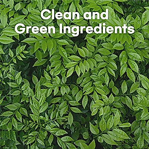 skybottle Hair & Body Mist, Lasting Fragrance with Grapefruit Citrus Scent, Travel Size Perfume and Body Spray, Hygiene Essentials for Women, Girls Valentine Gift, 3.4 Fl. Oz