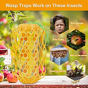 Sancodee 4 Pcs Wasp Trap Outdoor Hanging, Insect Catcher for Wasps and Carpenter Bees, Bee Killer Sticky Bug Boards Yellow Jacket Trap with Bait Reservoir, Non-Toxic Reusable Wasp Hornet Trap (Orange)