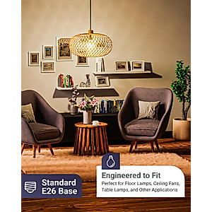 Sunco 12 Pack LED Light Bulbs, E26 Base Lamp Bulbs A19, [Focos LED para Casa], 5000K Daylight, 8W (60 Watt Equivalent), 850 LM, Non-Dimmable, 25000 Lifetime Hours for Bedroom, Bathroom UL