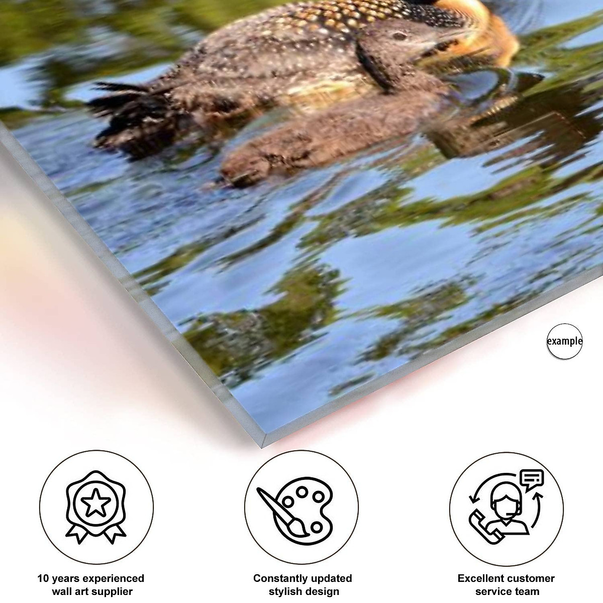 XEAJPJMGBQ Tempered Acrylic Glass Wall Art Common loon Modern Acrylic Artworks Picture Print Accent Decor for Living Room Bedroom Office Free Floating