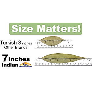 Rani Bay Leaf (Leaves) Whole Spice Hand Selected Extra Large 1.75oz (50g) ~ All Natural | Gluten Friendly | NON-GMO | Kosher | Vegan | Indian Origin (Tej Patta)