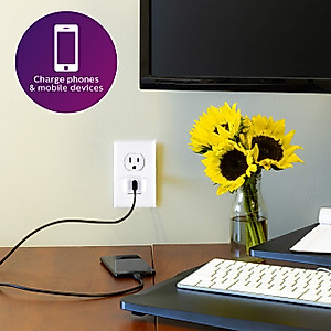 Philips iPhone USB A Wall Charger Block, 5W USB A Charger, Single Port USB A Charging Block for iPhone 14 Series, 13 Series, 12 Series, AirPod Pro, Power Adapter Cube, USB Charger Block, DLP2409/37
