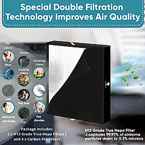 2 pack - FLT5900 Replacement Filter - J - Compatible with Germ Guardian AC5900WCA and AC5900WDLX Air Purifiers - 2 H13 Grade True Hepa Filters & 4 Carbon Pre-Filters - Part # FLT5900