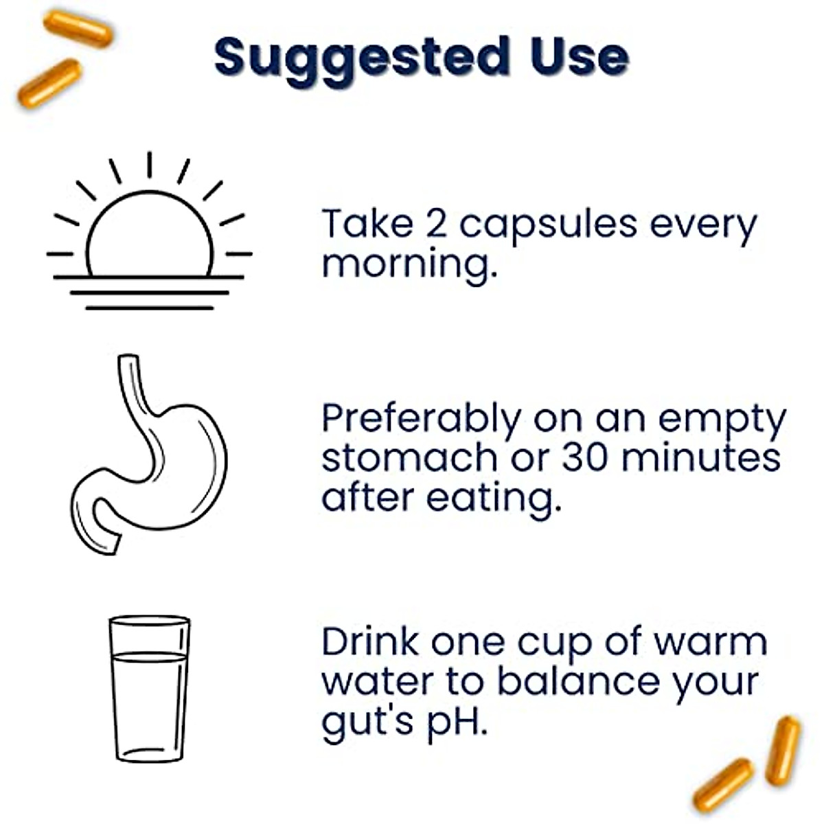 Better Body Co. Original Provitalize | Natural Menopause Probiotics for Weight Gain, Hot Flashes, Night Sweats, Low Energy, Mood Swings, Gut Health. Unique Probiotics Formula