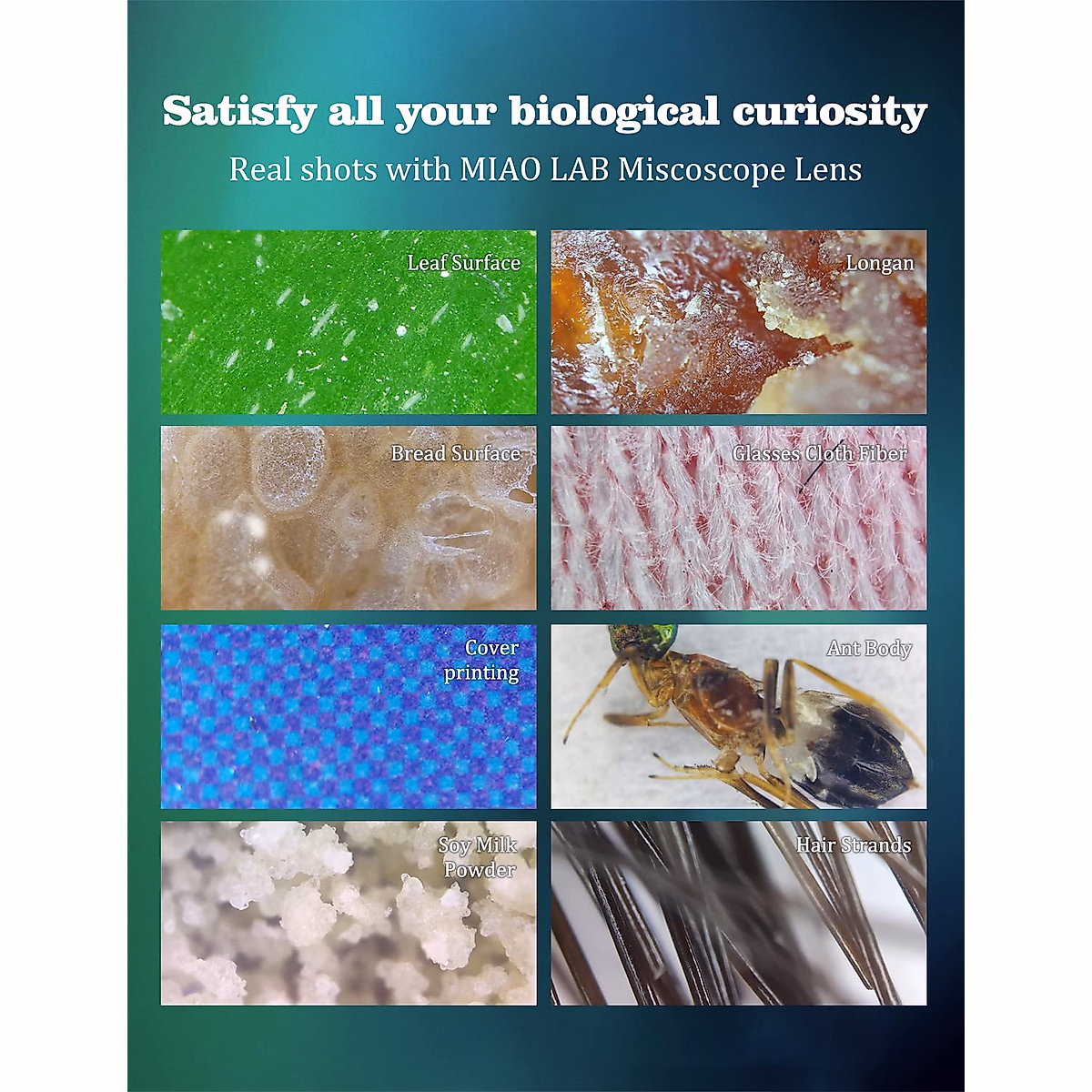 Phone Microscope with CPL Lens/LED Light, Nano Zoom 200X Pocket Microscope Camera Attachment with Universal Clip for Most iPhone/Andriod Phone - The Best Gift to Enjoy Microworld for Kids and Adults