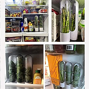 3PCS Herb Saver for Refrigerator, Herb Keeper-Vegetable Preservation Bottle, Cilantro Containers For Refrigerator, Fresh Herb Keeper for Cilantro, Mint, Asparagus, Keeps Greens Fresh for 2-3 Weeks