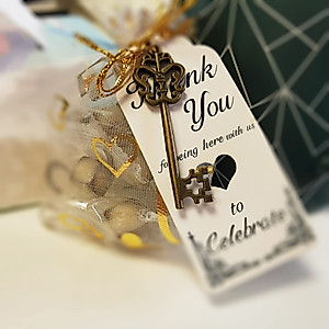 Aokbean Mixed Set of 30 Large Skeleton Keys in Antique Bronze - Set of 30 Keys