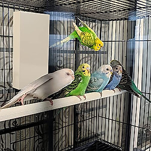 H&G lifestyles Bird Heater for Cage Snuggle Up Bird Warmer for Exotic Pet Birds 4.7X7.9 inch