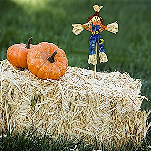 EBaokuup 10 PCS Halloween Scarecrow Decoration - 11.8 Inch Fall Harvest Scarecrow Thanksgiving Scarecrow Fall Harvest Standing Scarecrow Decor for Autumn, Halloween, Garden, Yard Decoration