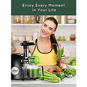 Juicer Machines, HOUSNAT Professional Celery Slow Masticating Juicer Extractor Easy to Clean, Cold Press Juicer with Quiet Motor and Reverse Function for Fruit & Vegetable, Brushes & Recipes Included, Black