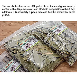 NEOUZA Sugar Glider Small Animal Bedding, Chew Treats, Molar Toys, 200g Natural Dried Eucalyptus Leaves and Twigs (200g Eucalyptus Leaves)