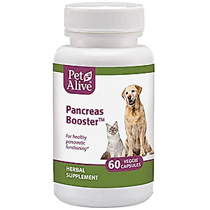 PetAlive Pancreas Booster - All Natural Herbal Supplement for Pancreatic Health and Digestive Functioning in Cats and Dogs - Supports Healthy Insulin Production - 60 Veggie Caps