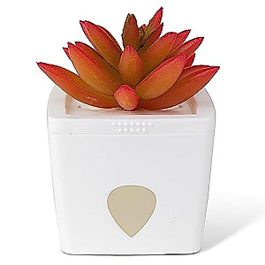 ZendoZones Fruit Fly Trap with Zendo Lure, Joyful Janet with Plastic, White Base, Refillable and Reusable, Long-Lasting