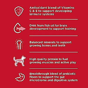 Hill's Science Diet Puppy, Puppy, Small & Mini Breeds Puppy Premium Nutrition, Dry Dog Food, Chicken & Barley, 12.5 lb Bag