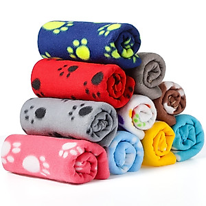 10 Pieces Pet Blankets with Paw Print Dog Cat Soft Fleece Blankets Sleep Mat Pad Bed Cover for Kitten Puppy and Other Small Animals, 24 x 28 Inch (Bright Color)