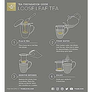 Teabloom Double-Wall Heatproof Glass Mug with Stainless Steel Infuser and White Lid – 15 OZ / 430 ML – 2 Blooming Teas Included
