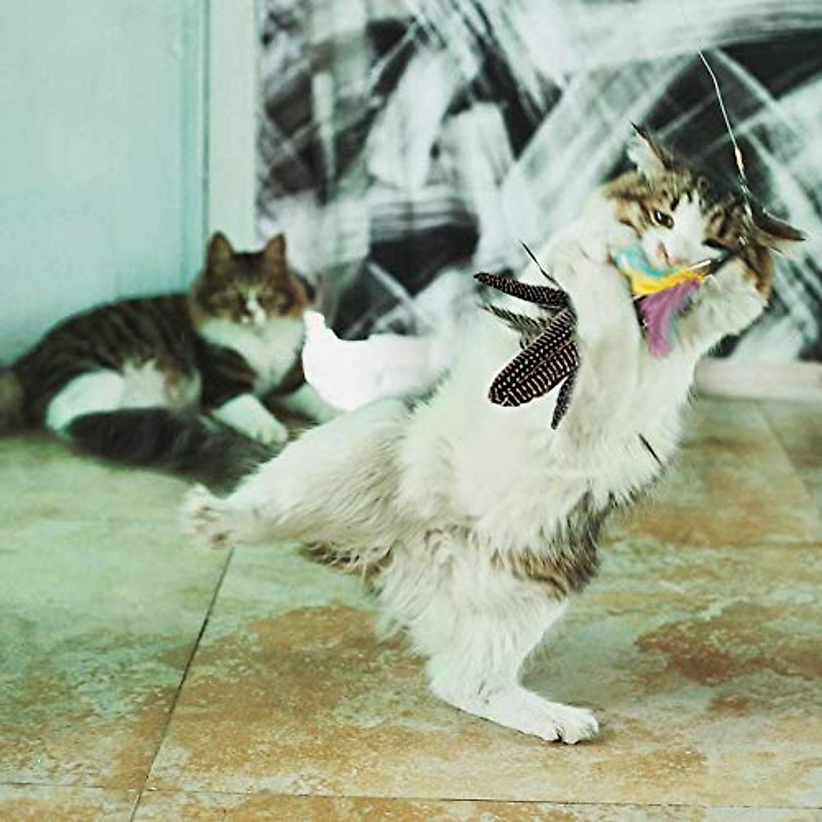 Highland Farms Select Handmade Natural Feather Cat Toy Dah Bird Refills - Interactive Cat and Kitten Toy - 6 Pack