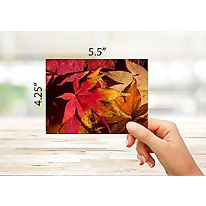 Fall Leaves Blank Note Cards - 12 Pack - Greeting Cards with Envelopes - 4 Unique Designs - 5.5"x4.25" (12 Pack)