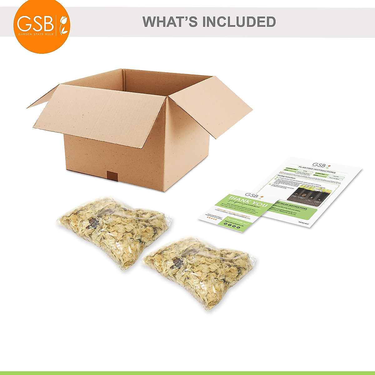 Garden State Bulb Mixed Caladium Bulbs, Bare Roots (Bag of 20)