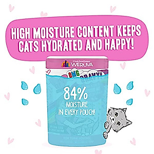 Weruva B.F.F. OMG - Best Feline Friend Oh My Gravy!, Tuna & Duck Devour Me with Tuna & Duck in Gravy Cat Food, 3oz Pouch (Pack of 12)