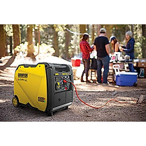 Champion Power Equipment 200988 4500-Watt Dual Fuel RV Ready Portable Inverter Generator, Electric Start